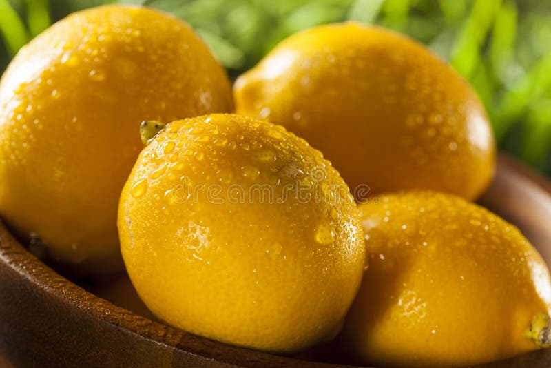 Organic Yellow Citrus Lemons Stock Image - Image of fresh, fruit: 40052985