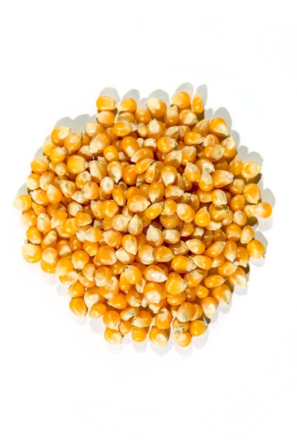 Organic Yellow Popcorn Grains Stock Image - Image of edible, isolated ...