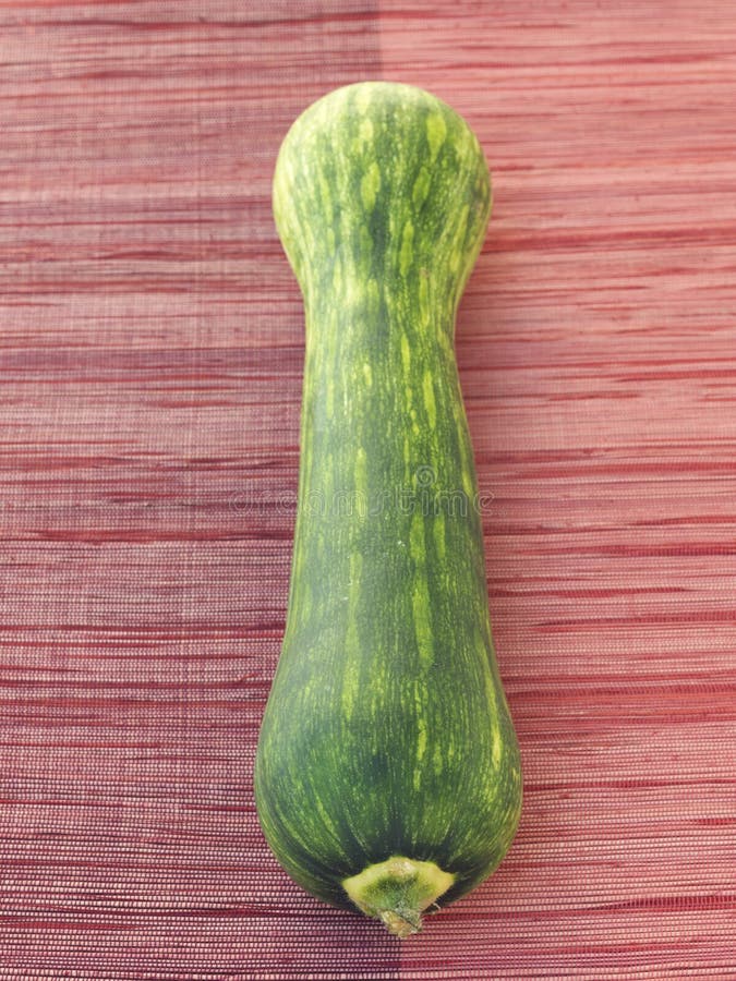 Organic zucchini stock photo. Image of ingredient, organic - 23705916