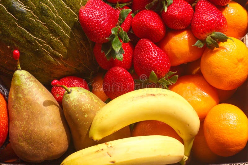 Organically Grown Fruit of Strawberries, Melon, Mango, Kiwis, Pears ...