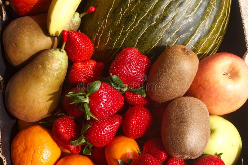 Organically Grown Fruit of Strawberries, Melon, Mango, Kiwis, Pears ...
