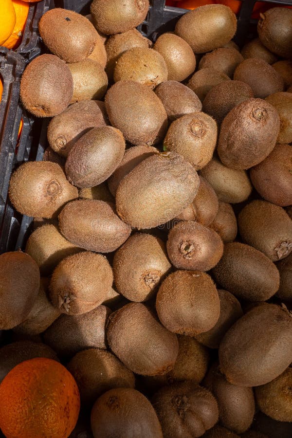 Organically Grown Kiwifruits in a Box Stock Photo - Image of harvesting ...