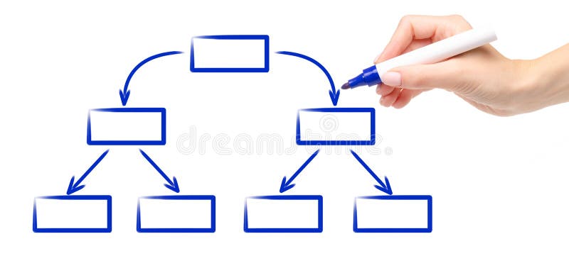Organigramme Vide De Marqueur De Main De Dessin De Plan Bleu De ...