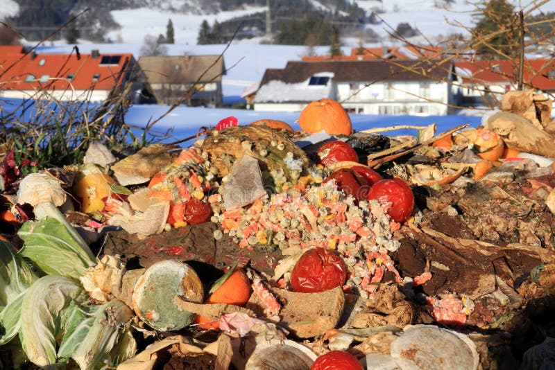 Organisch afval stock foto. Image of stinken, verrotting - 23260478