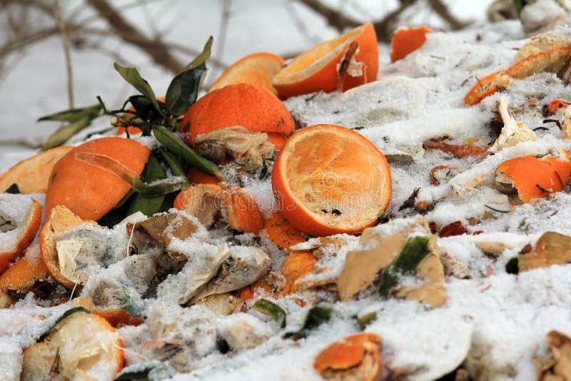 Organisch afval stock afbeelding. Image of schik, koude - 23608737