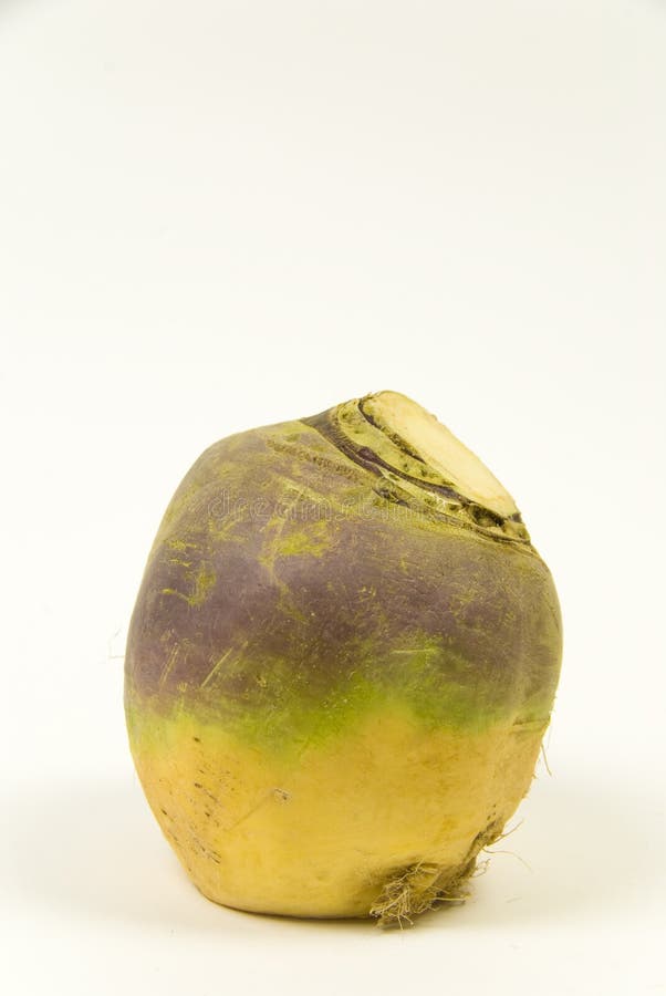 Gele Raap stock foto. Image of naughty, gezond, koolraap - 19124682