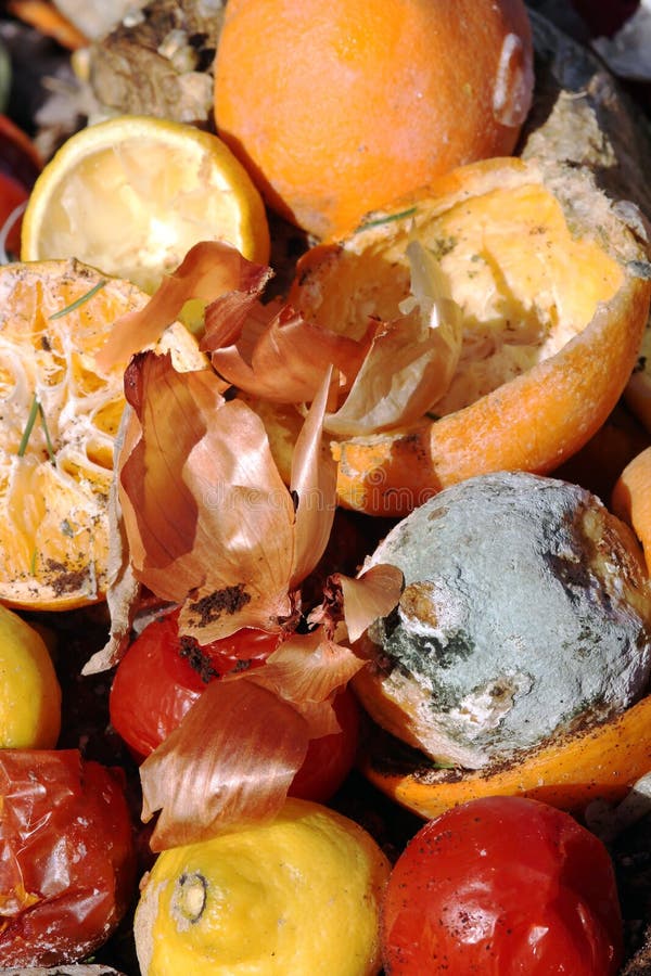 Organischer Abfall stockbild. Bild von fliegen, kalt - 23608737
