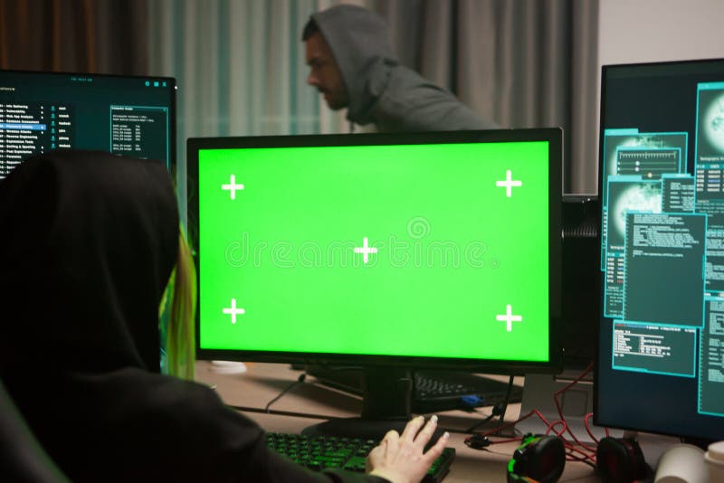 Organised Female Hacker in Front of Computer Stock Photo - Image of ...
