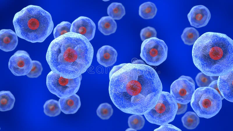 Protozoaire Ou Organisme Unicellulaire Micro Illustration Stock ...