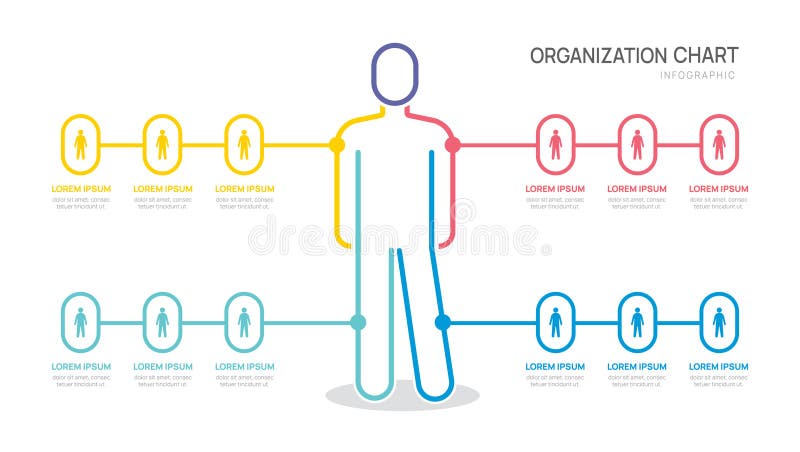 Organization Chart Infographic Template with Business Avatar Icons ...