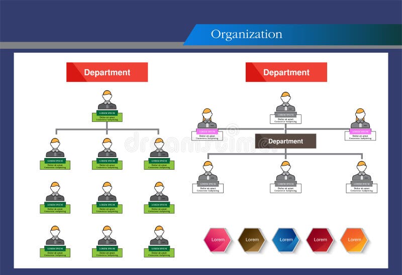 Organization Chart Infographics, Timeline Vector Infographic, Business ...