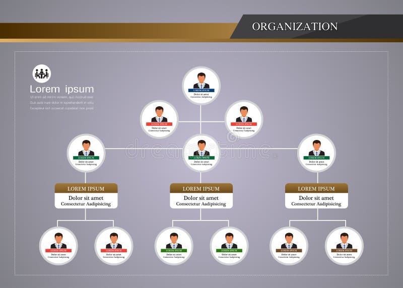 Organization Chart Infographics Stock Vector - Illustration of ...