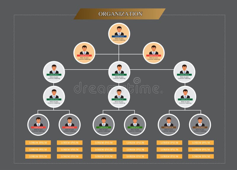 Organization Chart Infographics, Timeline Vector Infographic, Business ...