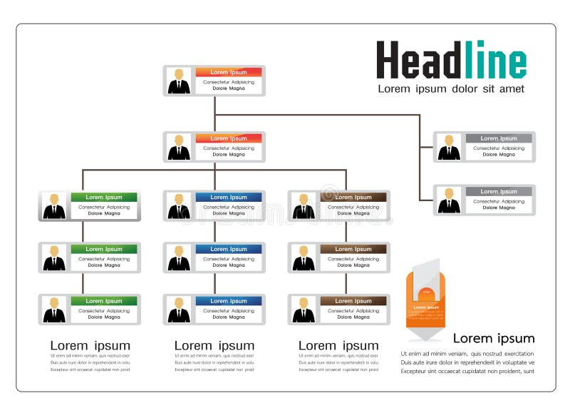 Organization Chart Infographics, Timeline Vector Infographic, Business ...