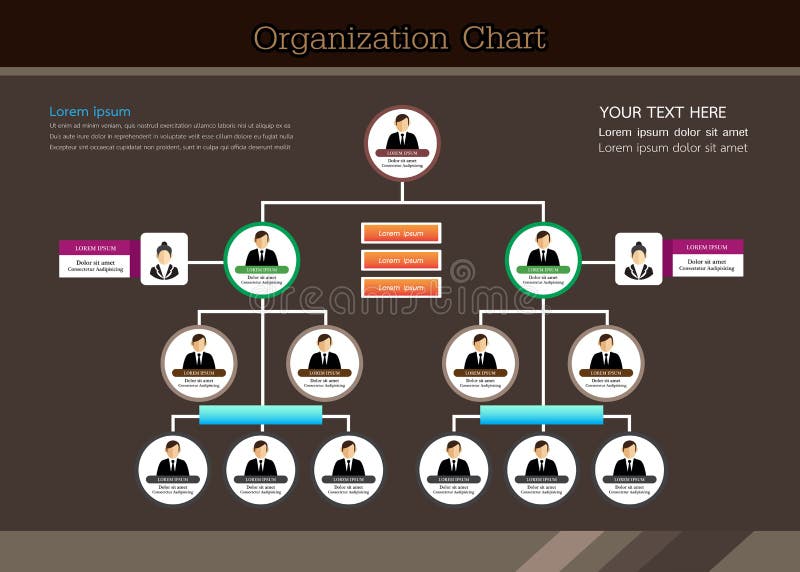 Infographic Org Chart