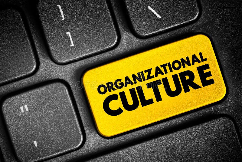 Organizational Culture - Collection of Values, Expectations, and ...