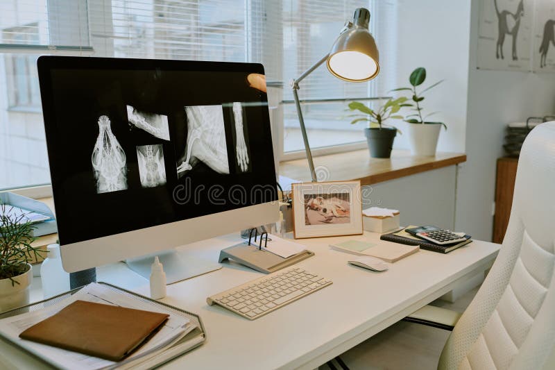Organized Office Desk with Computer Showing X-ray Images Stock Image ...