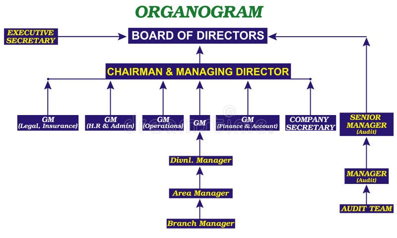 Organogram stock illustration. Illustration of director - 15140616