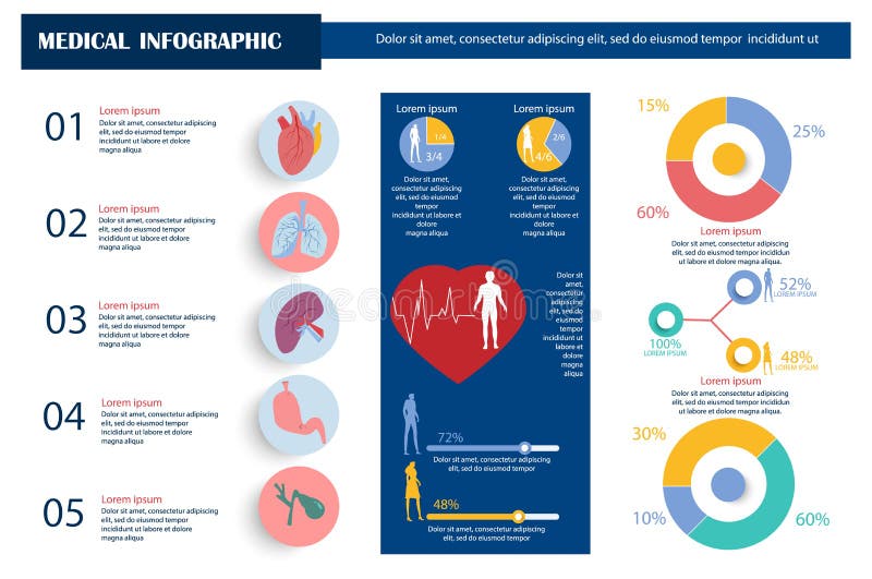 Organs Performance Indicators Infographics Banner. Stock Vector ...