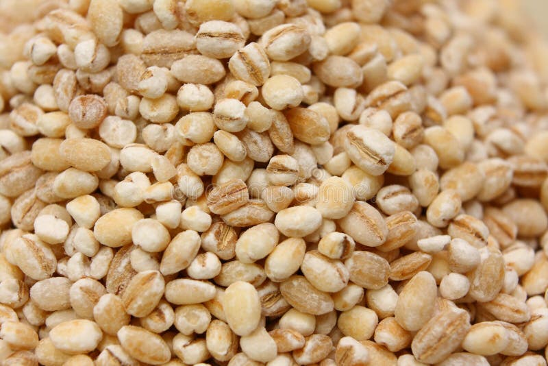 Orge photo stock. Image of manger, orge, graine, mélange - 15225998