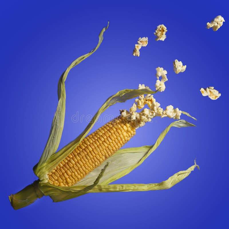 Orginal Image of Flying Popcorn and Ear of Corn on Blue Background ...