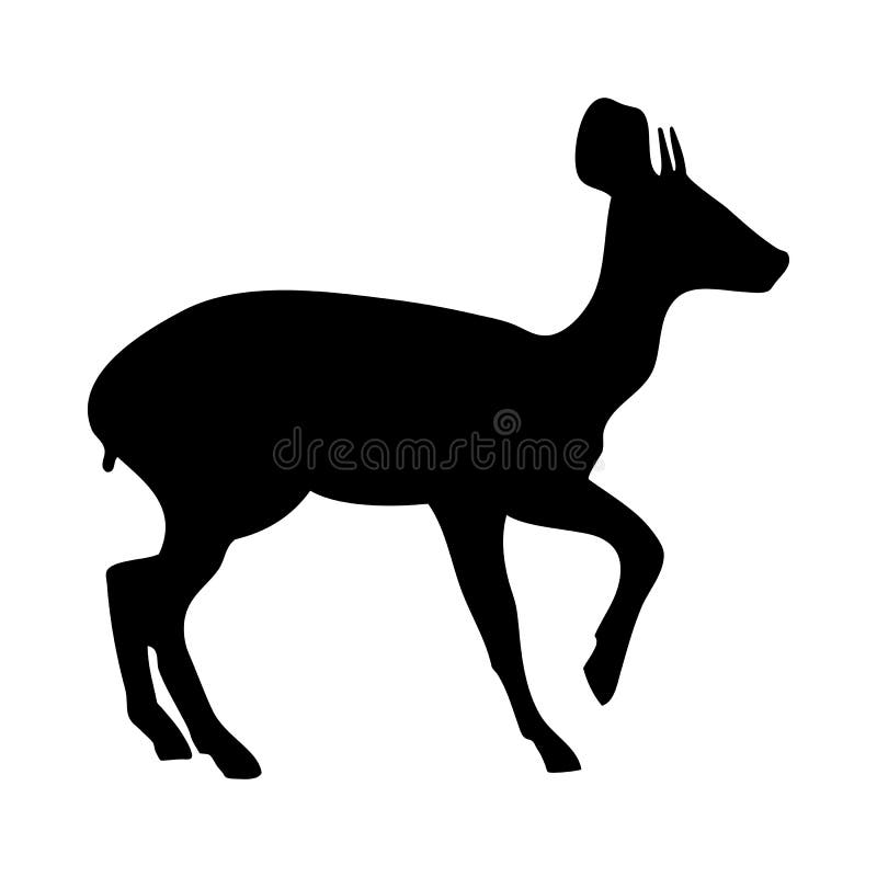 Oribi Antelope Silhouette stock vector. Illustration of mammal - 214080844