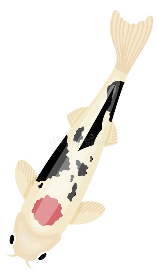 Fish Pond Top View Stock Illustrations – 580 Fish Pond Top View Stock ...