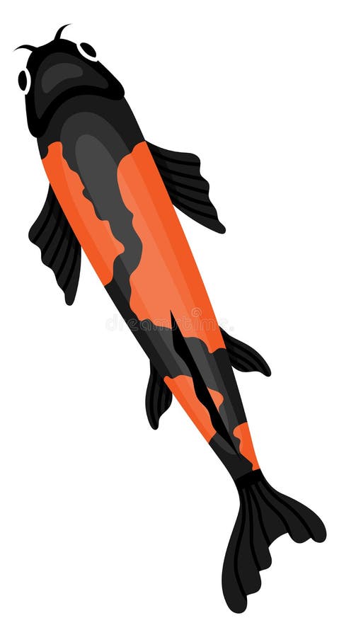 Koi Fish Top View Stock Illustrations – 281 Koi Fish Top View Stock ...
