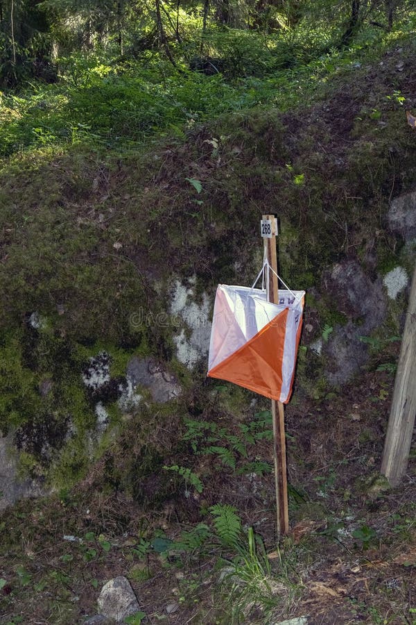 Orienteering Control Point in a Forest, Finland Stock Photo - Image of ...