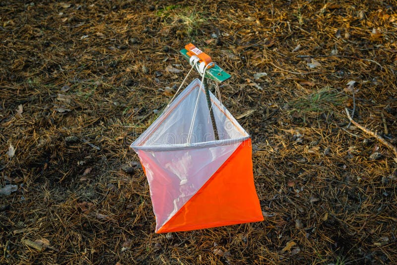 Orienteering. Control Point Prism and Composter for Orienteering in the ...