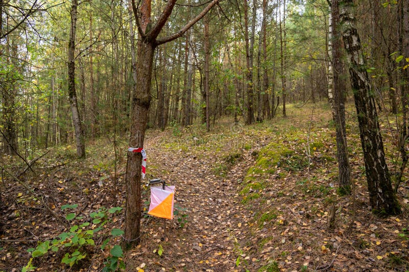 Orienteering. Control Point Prism and Electric Composter for ...