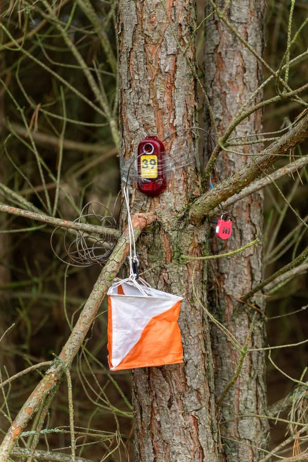 Orienteering. Control Point Prism and Electric Composter for ...