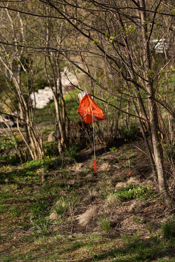 Orienteering Post in a Forest Stock Image - Image of forest, pile ...