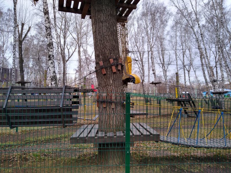 Orienteering in the Park Using Hanging Ladders and Ropes To Overcome ...