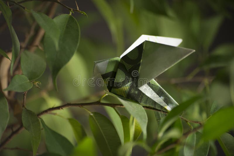 Euro Origami Bird Banknotes Stock Photos - Free & Royalty-Free Stock ...