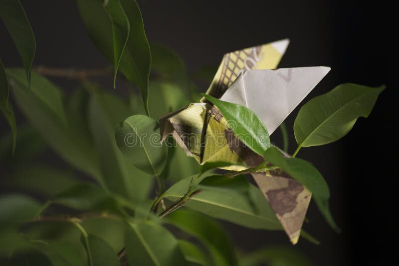 Euro Origami Bird Banknotes Stock Photos - Free & Royalty-Free Stock ...