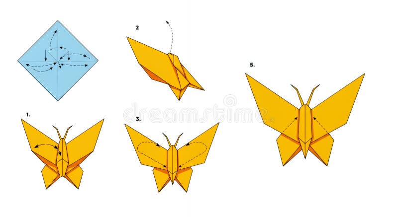 Origami Butterfly Diagram Displaying Paper Folding Instructions ...