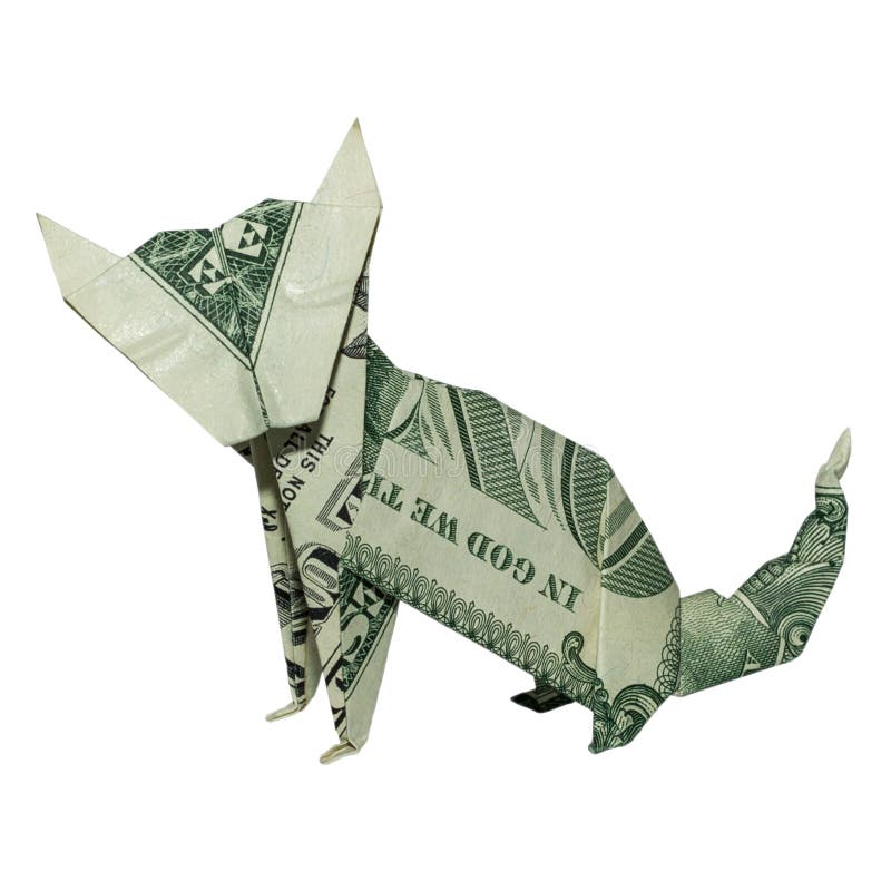 Origami Die CAT Folded Met Echte Zitten Dollar Bill Isolated Stock ...