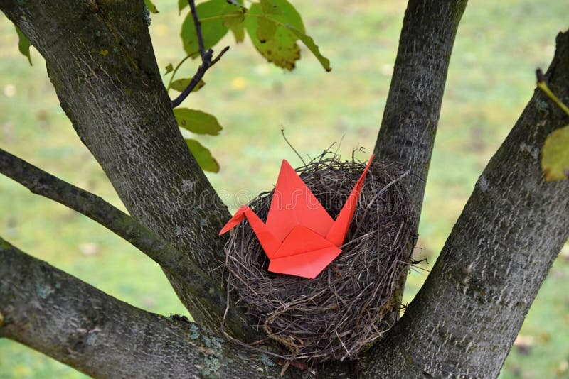 175 Japanese Paper Crane Tree Stock Photos - Free & Royalty-Free Stock ...