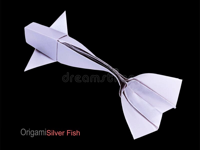 Silver Fish stock photo. Image of marine, oceanlife, aquarium - 89853648