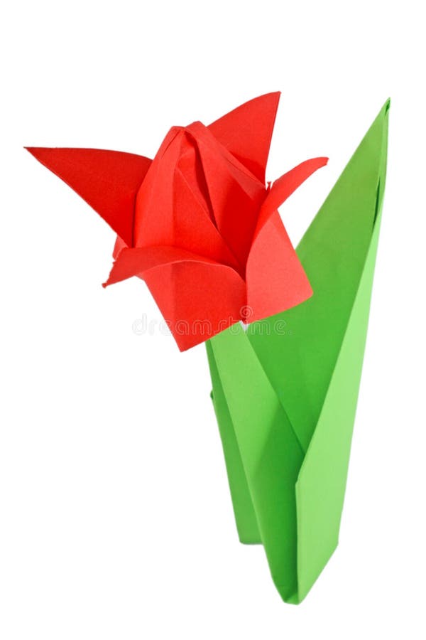 Origami tulip stock photo. Image of japan, design, traditional - 21159724