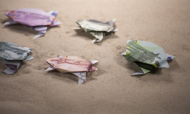 Origami Turtles from Banknotes Stock Image - Image of beach, animal ...