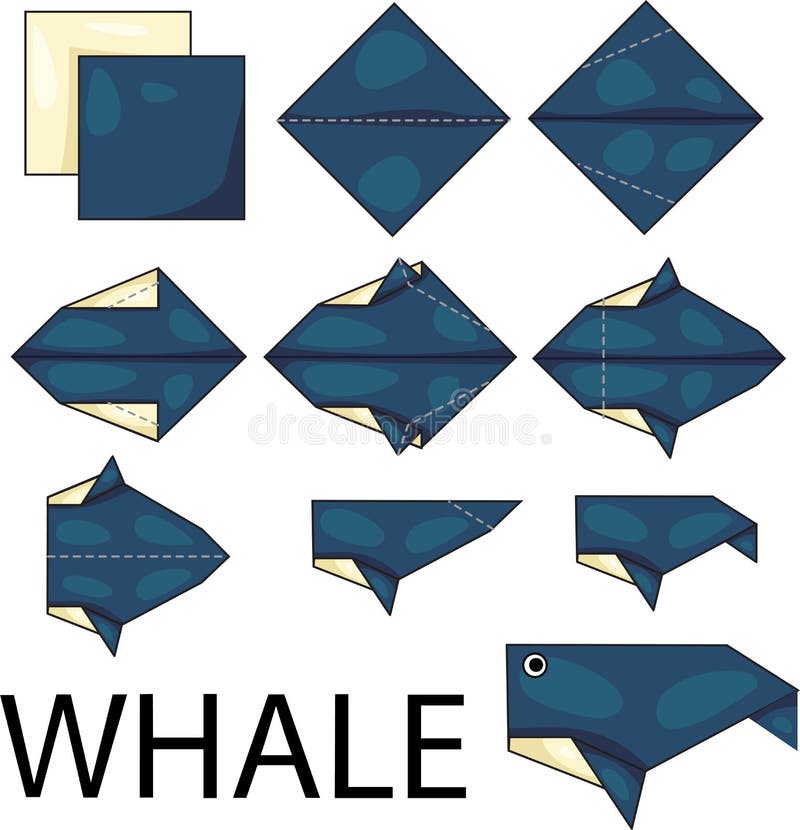 Origami whale stock vector. Illustration of element, folded - 31697604