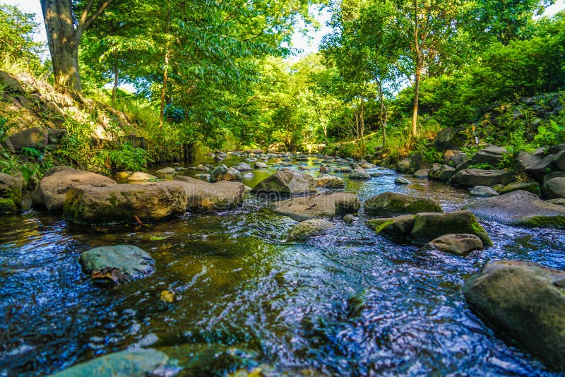 The Origin of the Kanda River Stock Image - Image of green, source ...
