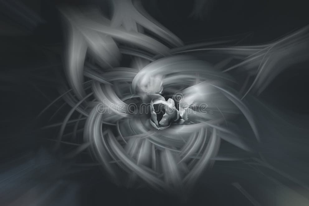 Original Abstract Pattern Effect Background Twirl Effect Stock ...