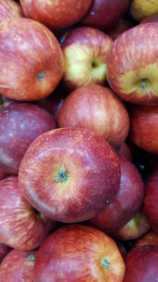 Original apple photo stock image. Image of food, original - 223747329