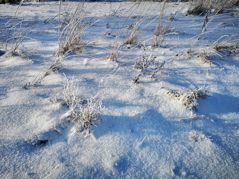 Original Textures of Snow, Branches, Soil Stock Image - Image of ...