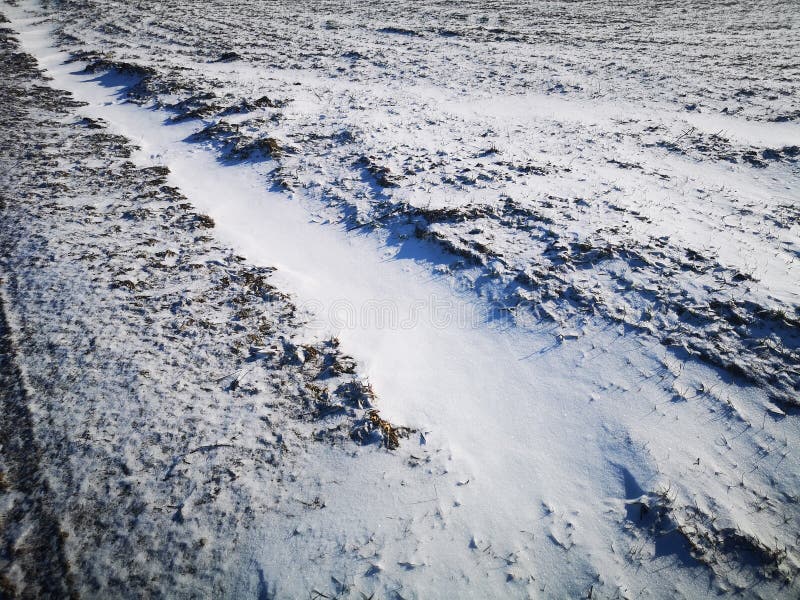 Original Textures of Snow, Branches, Soil Stock Photo - Image of snow ...