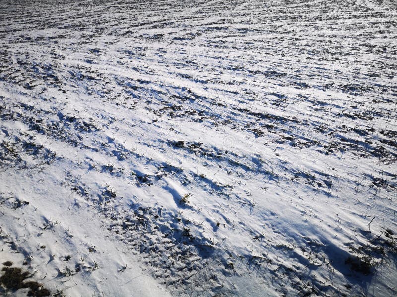 Original Textures of Snow, Branches, Soil Stock Image - Image of ...