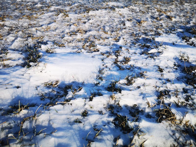 Original Textures of Snow, Branches, Soil Stock Photo - Image of ...